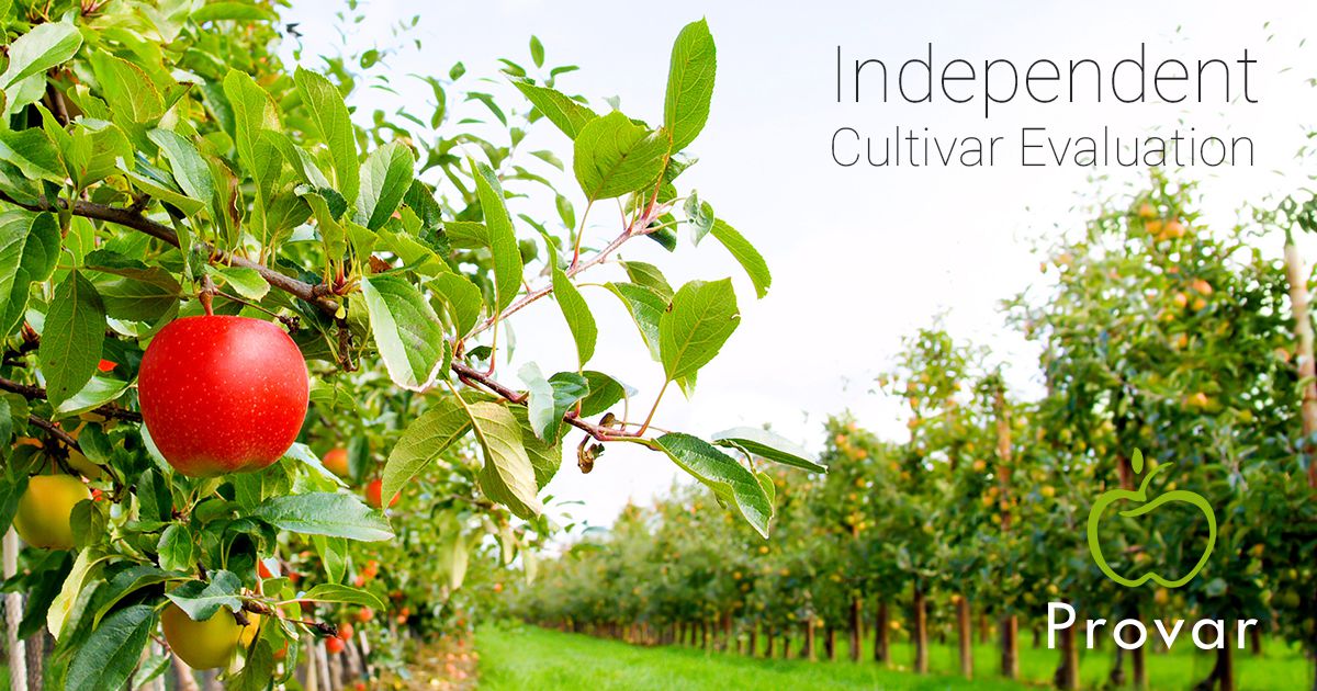Independent Cultivar Evaluation | Provar